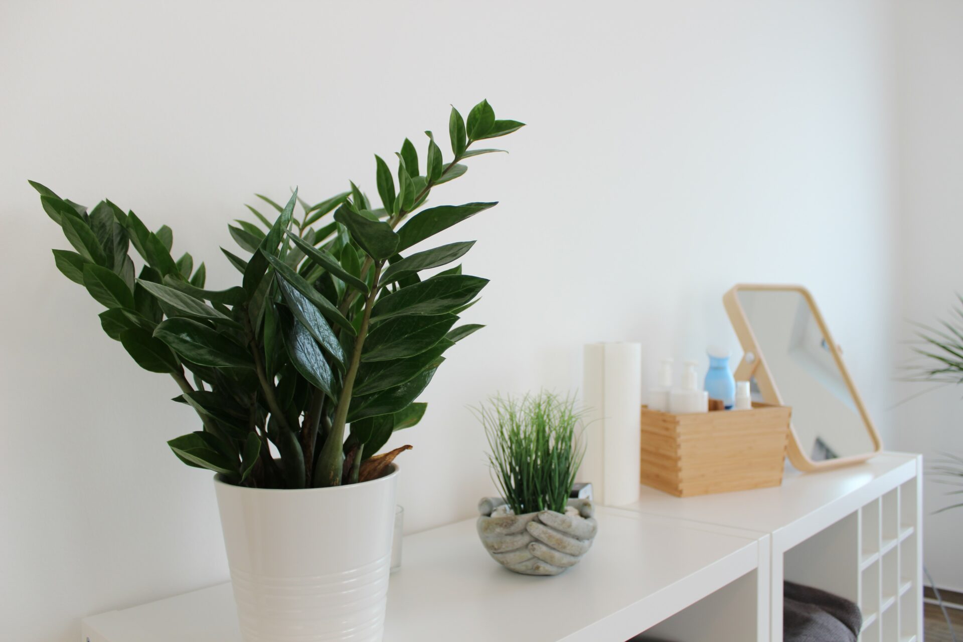 Praxis | Physio BNK, Die Praxis - Ein Ort zum Wohlfühlen